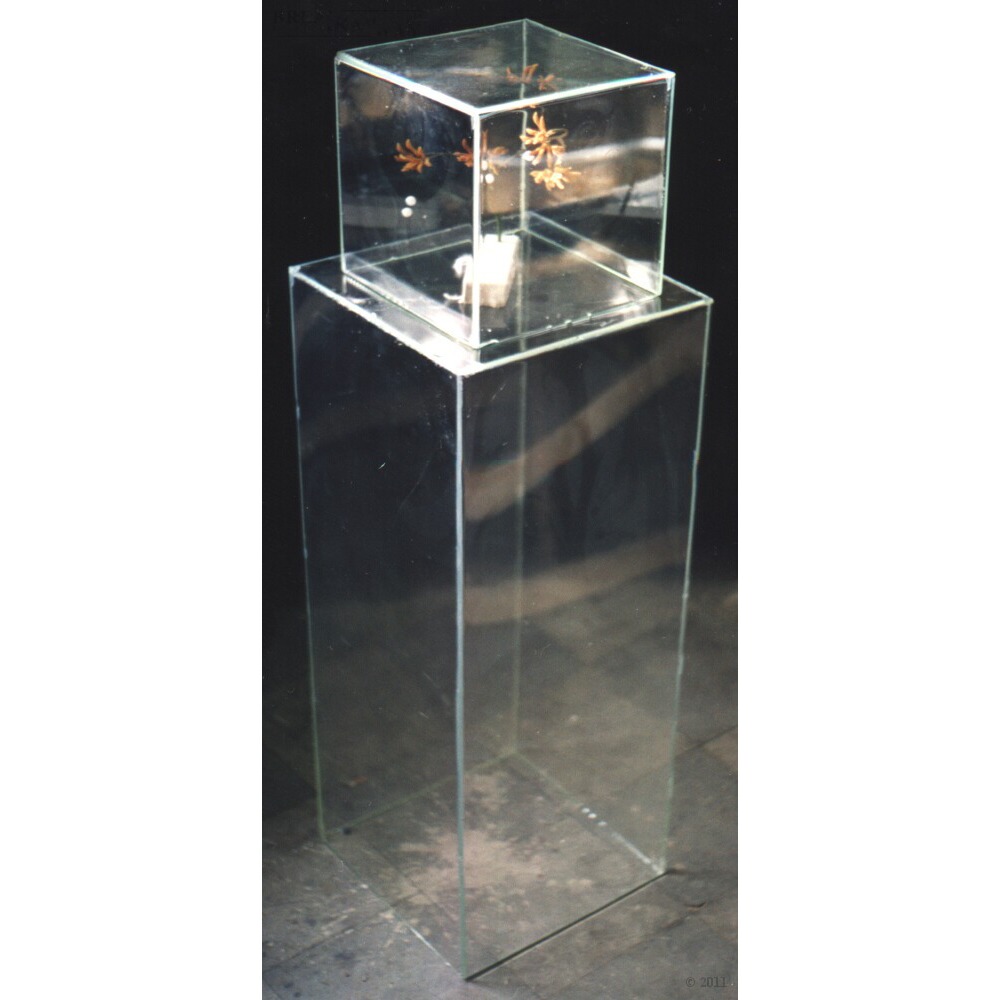 Glass Boxes - Breakaway Effects